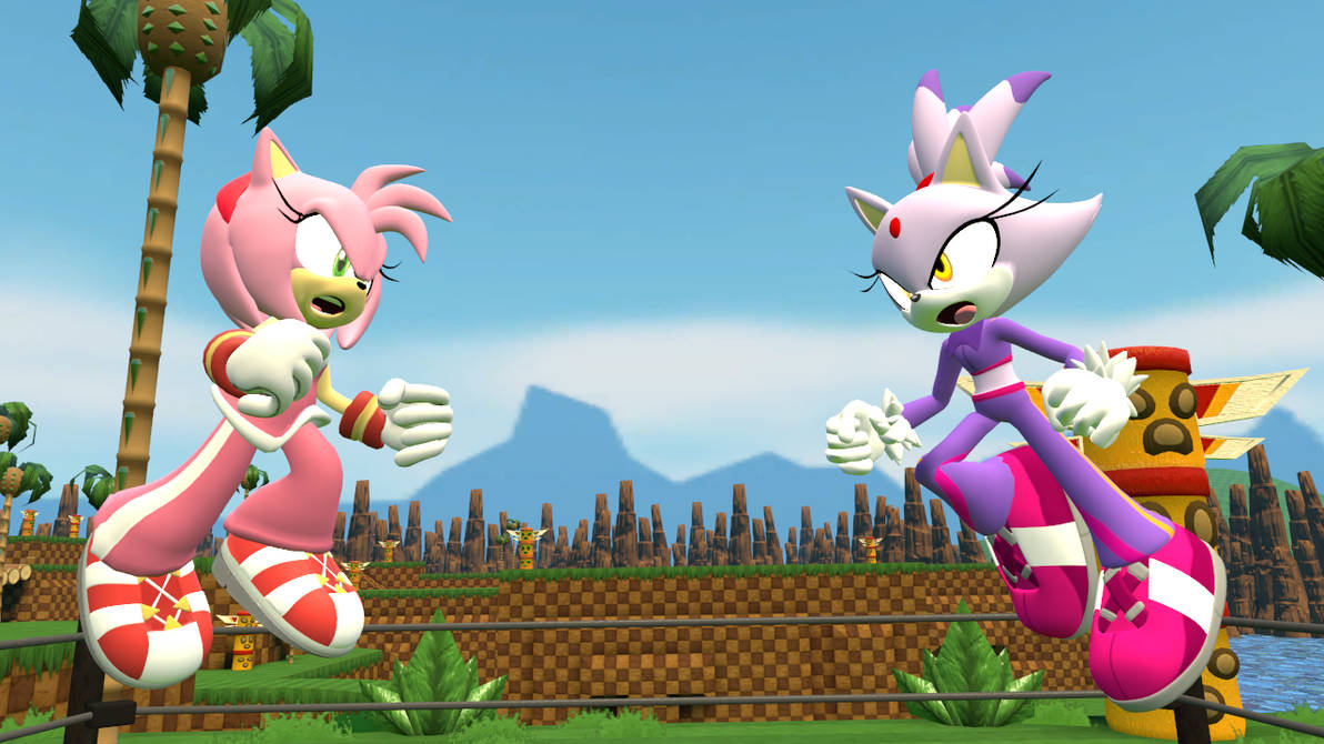 Amy Vs Blaze Round 2 Comm By Expansier On Deviantart