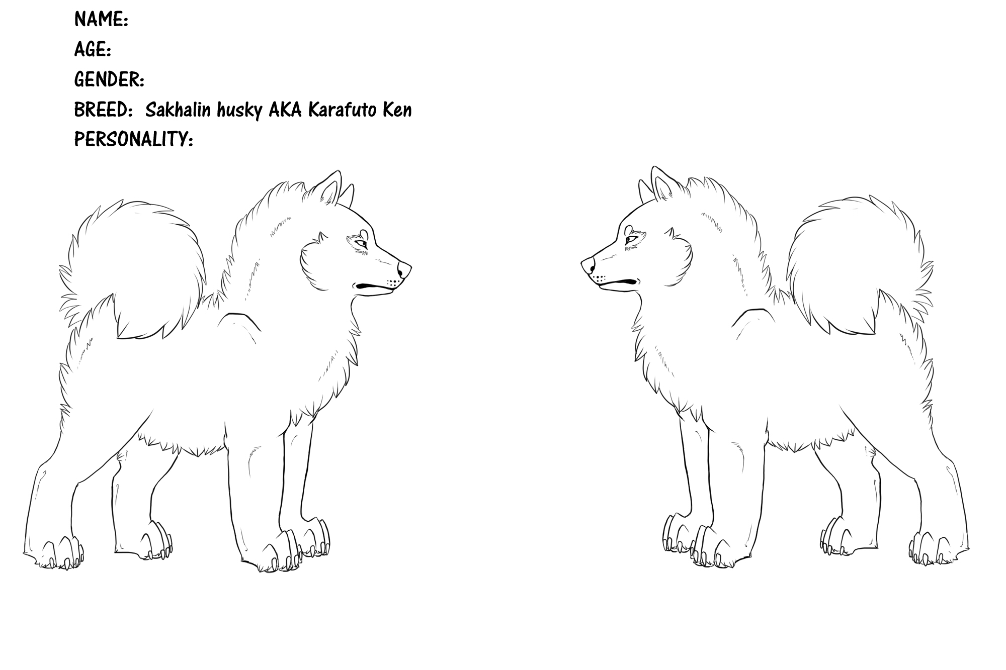 Husky Base by KurisuchinK on DeviantArt