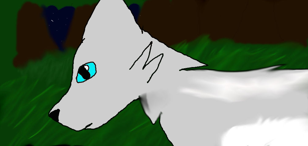 First Drawing: My mascot Rain by sarahlovedogs on DeviantArt