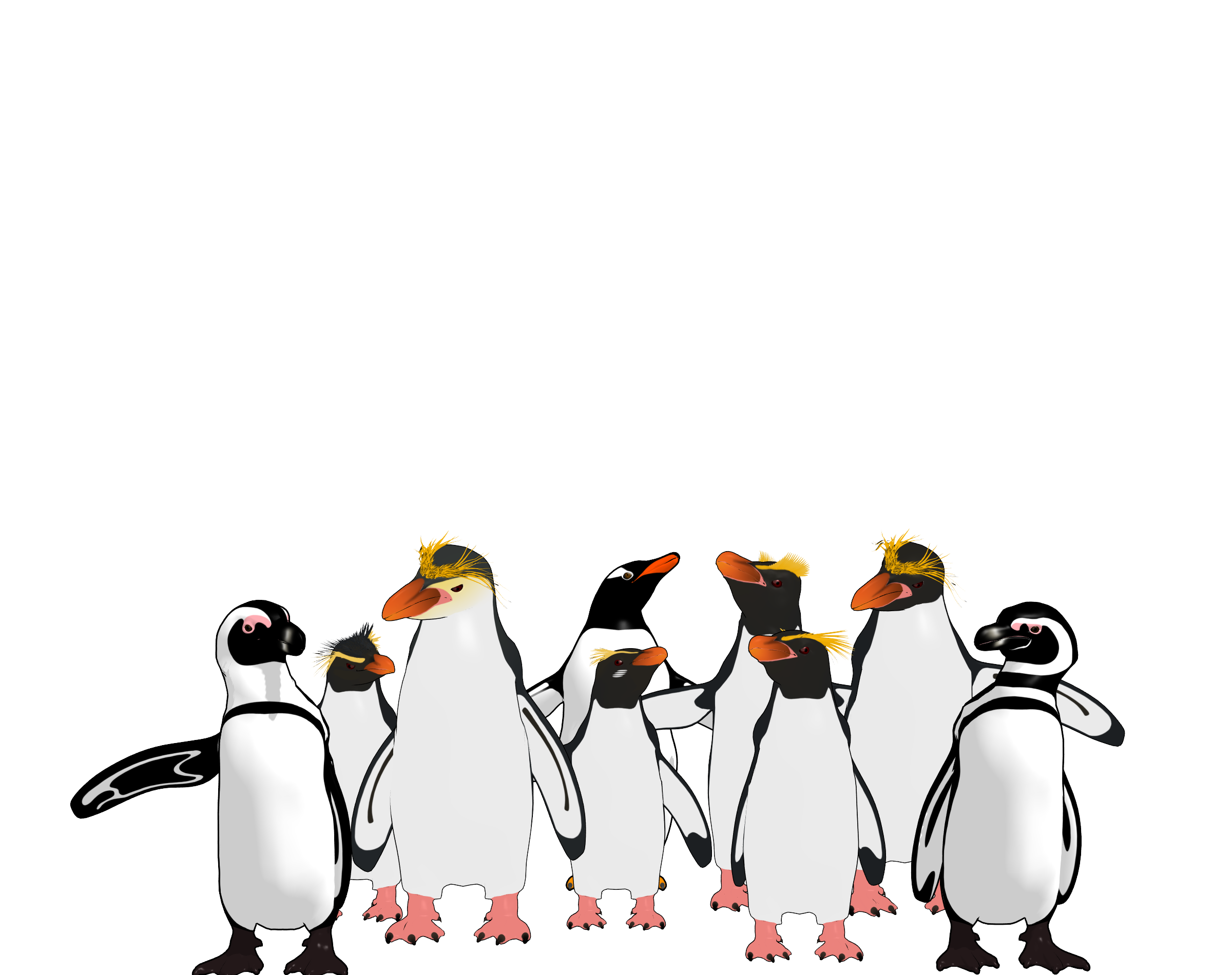 Penguins MMD Zip Download by ChrisM199 on DeviantArt