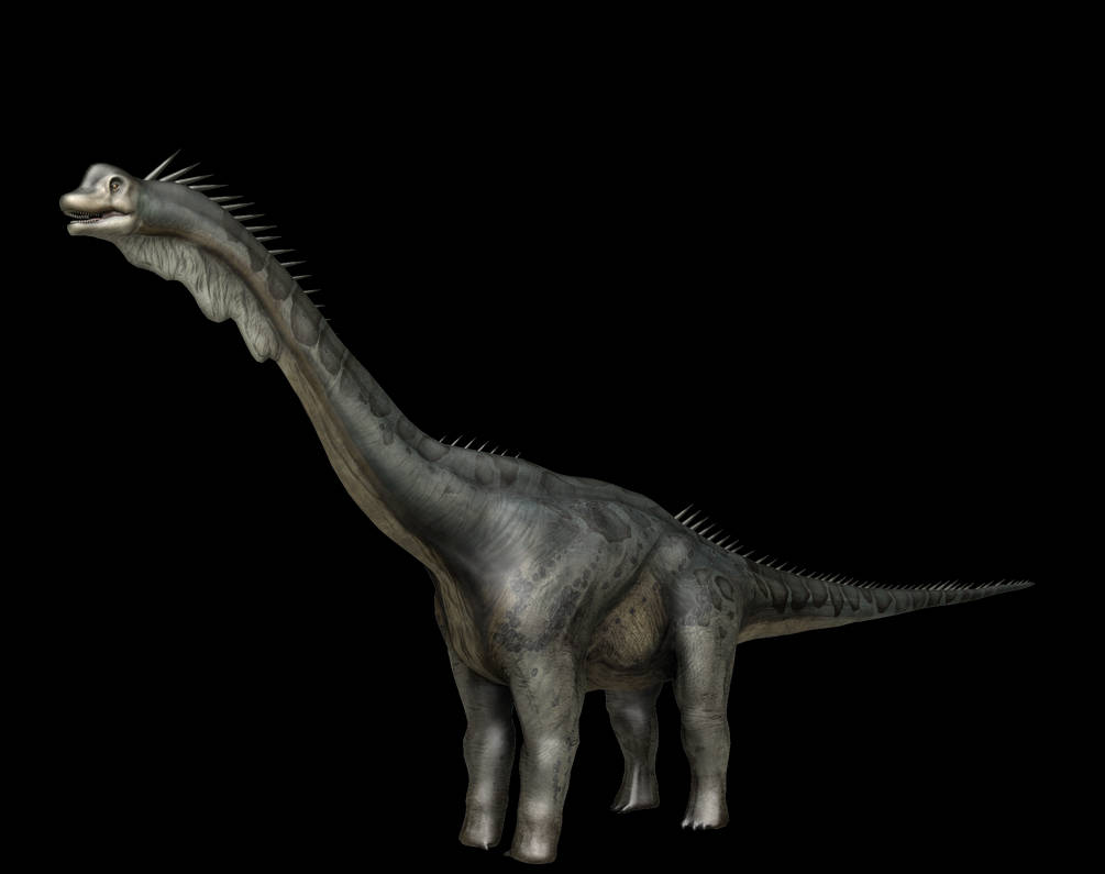 Brachiosaurus MMD Zip DL by ChrisM199 on DeviantArt