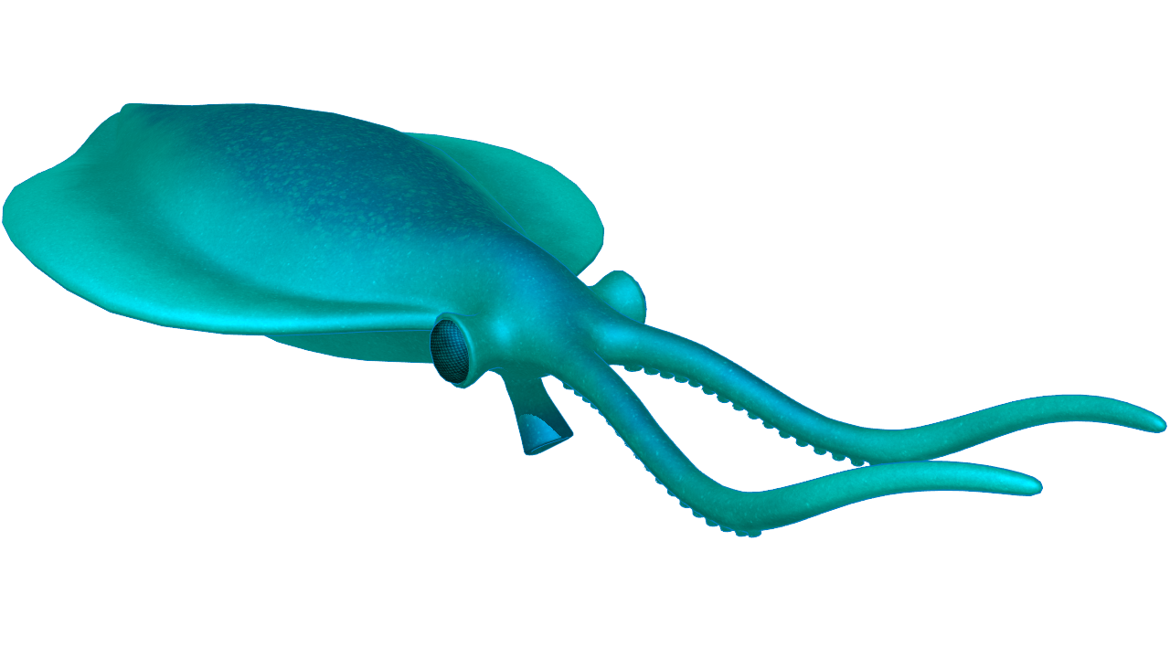 Nectocaris MMD DL by ChrisM199 on DeviantArt