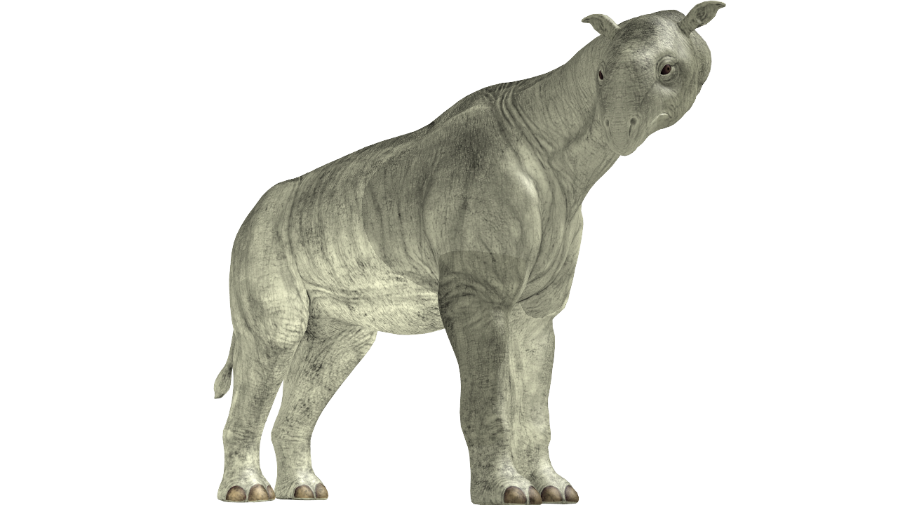 Paraceratherium MMD Download by ChrisM199 on DeviantArt