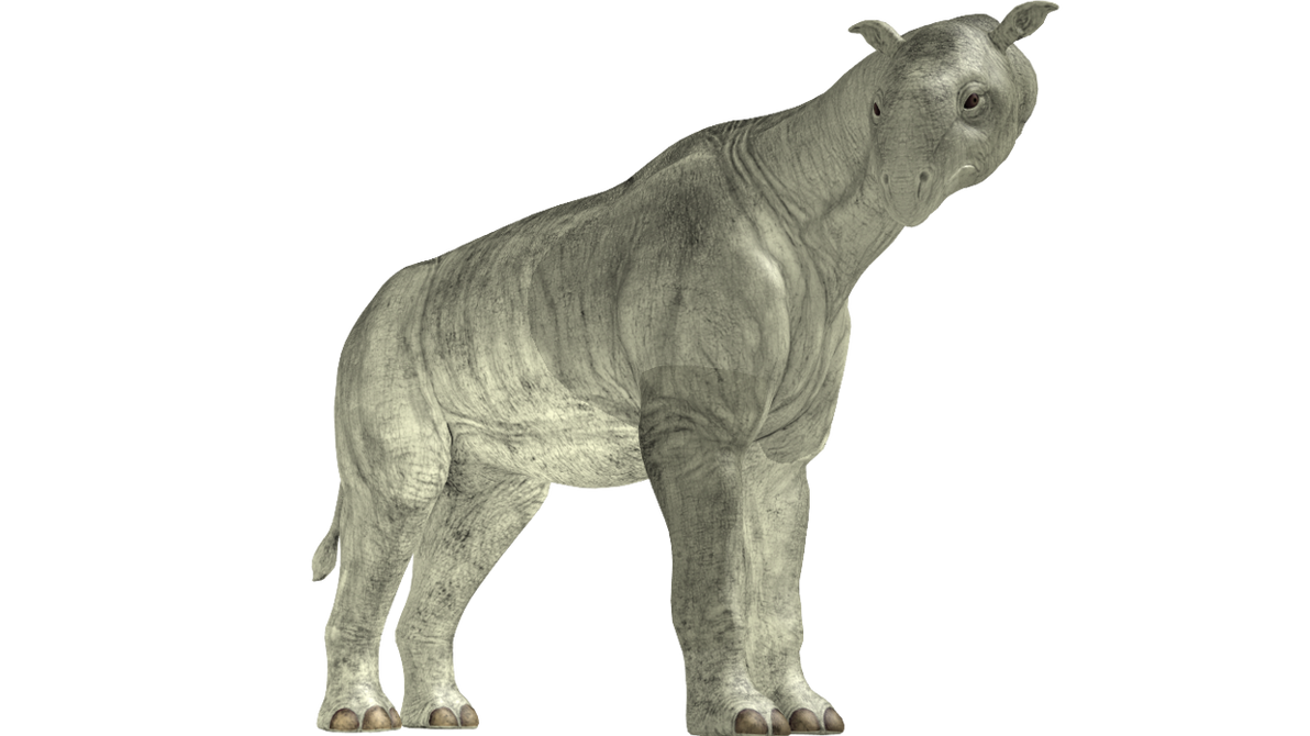 Paraceratherium MMD Download by ChrisM199 on DeviantArt