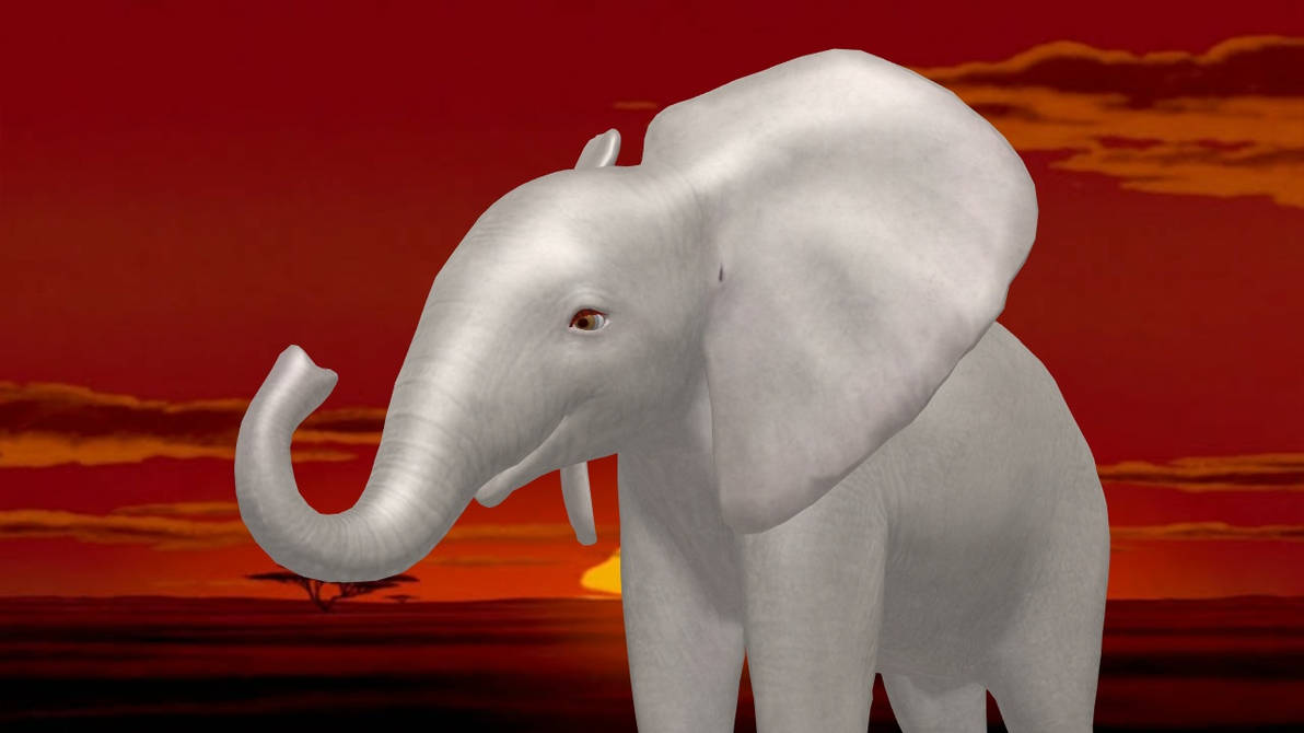 Baby Elephant MMD Download by ChrisM199 on DeviantArt