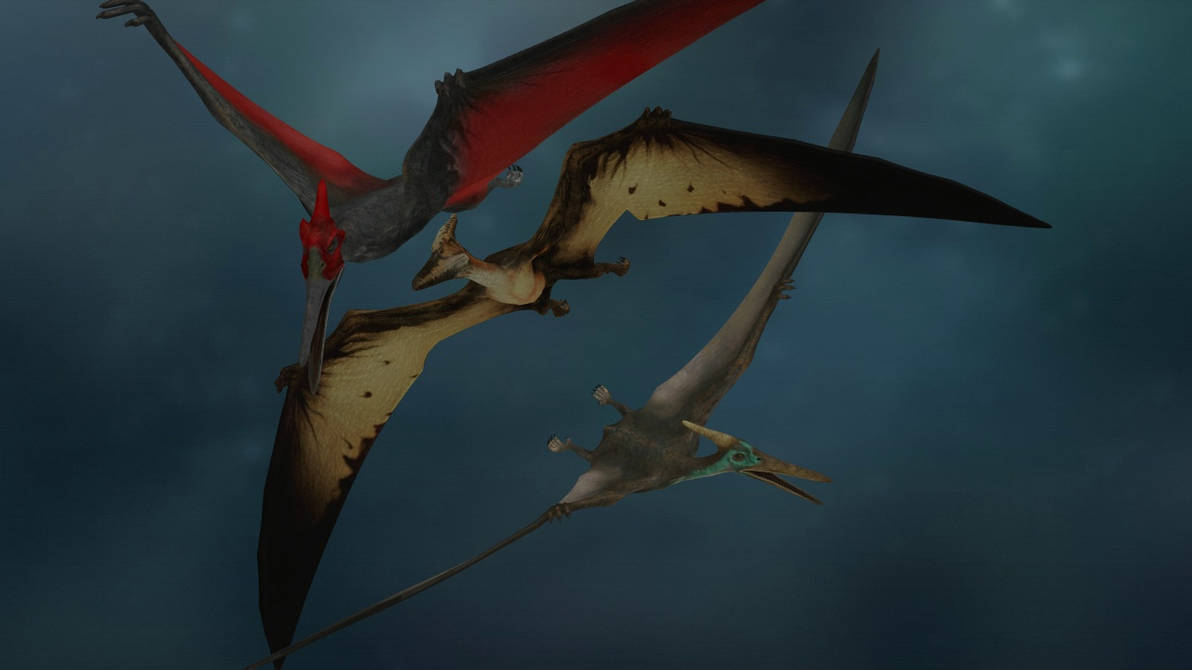 JWE Pteranodon MMD DL by ChrisM199 on DeviantArt