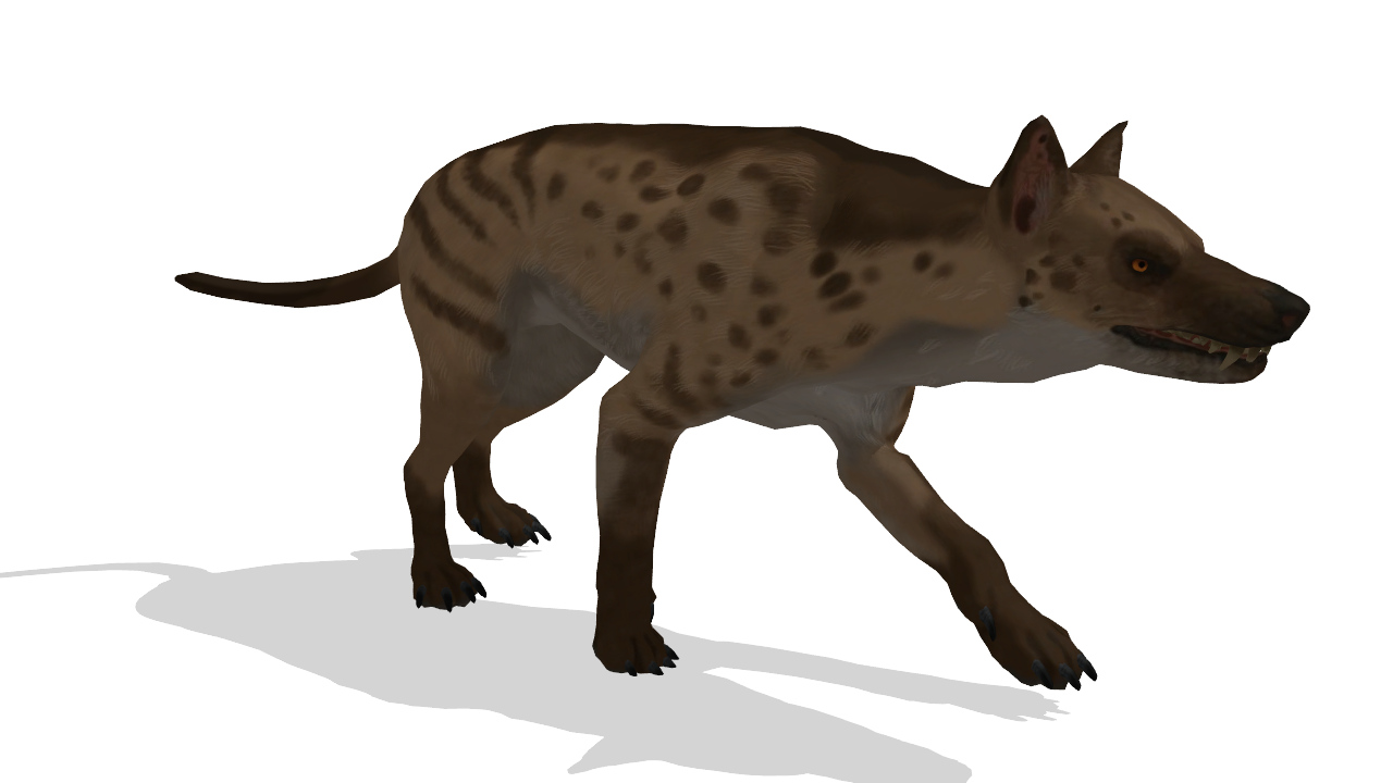 Hyaenodon MMD DL by ChrisM199 on DeviantArt