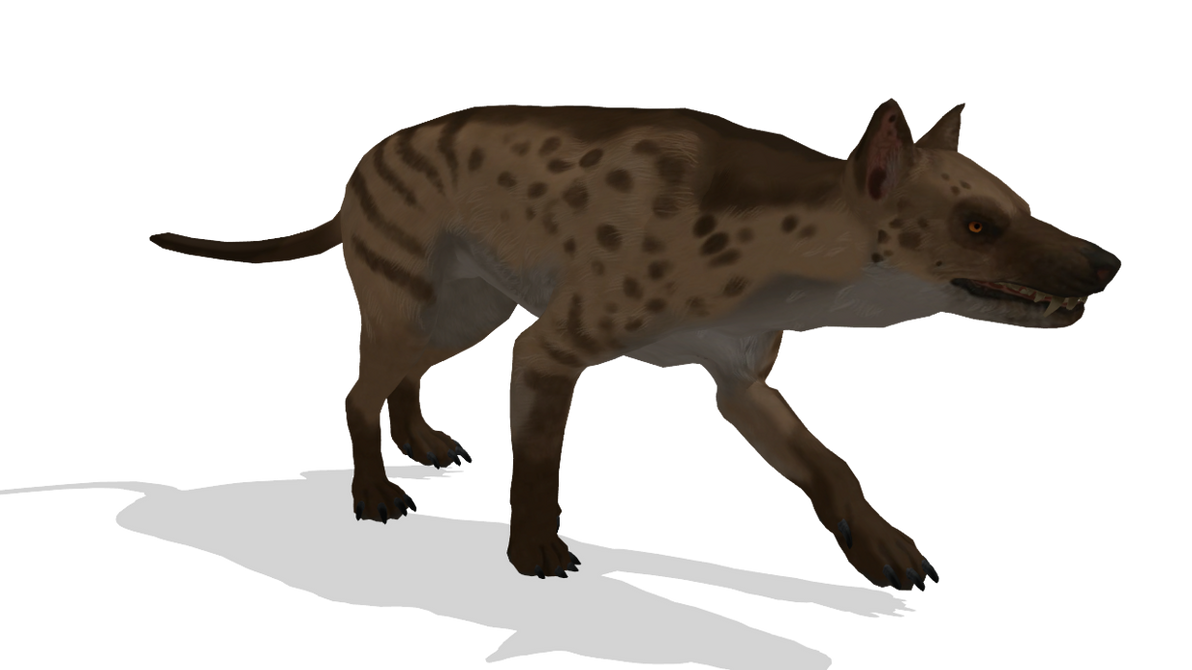 Hyaenodon MMD DL by ChrisM199 on DeviantArt