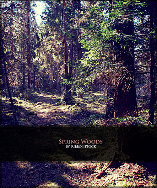 Spring Woods by Ribbonstock on DeviantArt