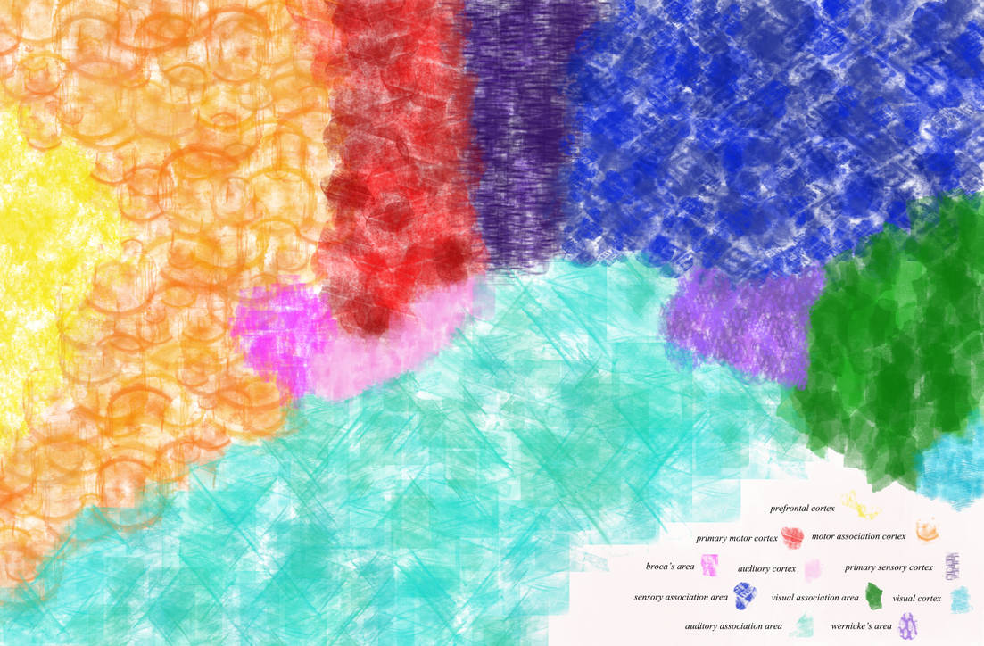 Brain Map by greenlight6 on DeviantArt