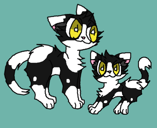 Patchpelt by kittygirl2210 on DeviantArt