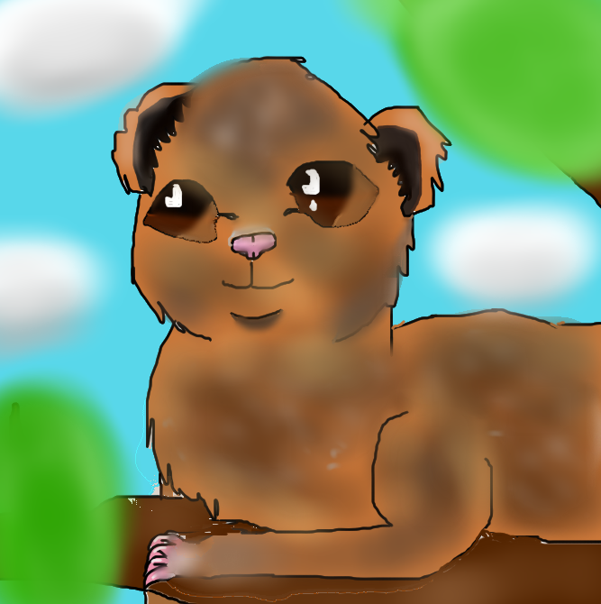 Olinguito by Peppermintninjakitty on DeviantArt