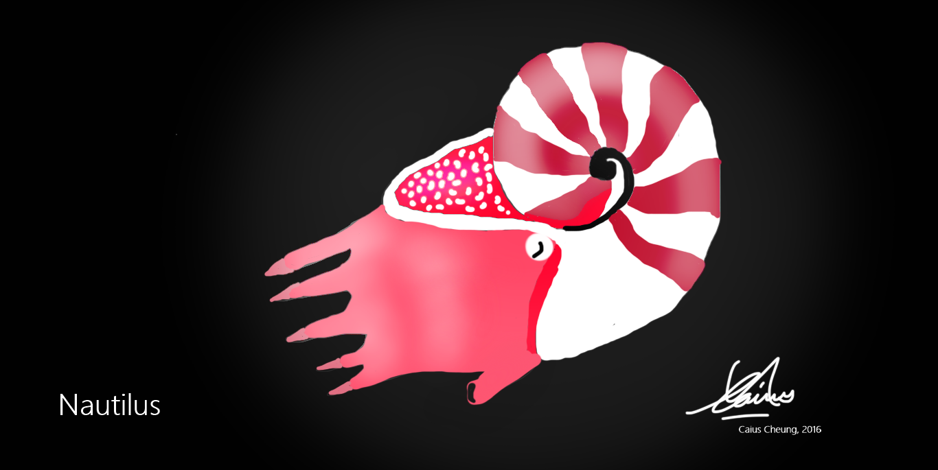 Nautilus by Caiussaurus on DeviantArt
