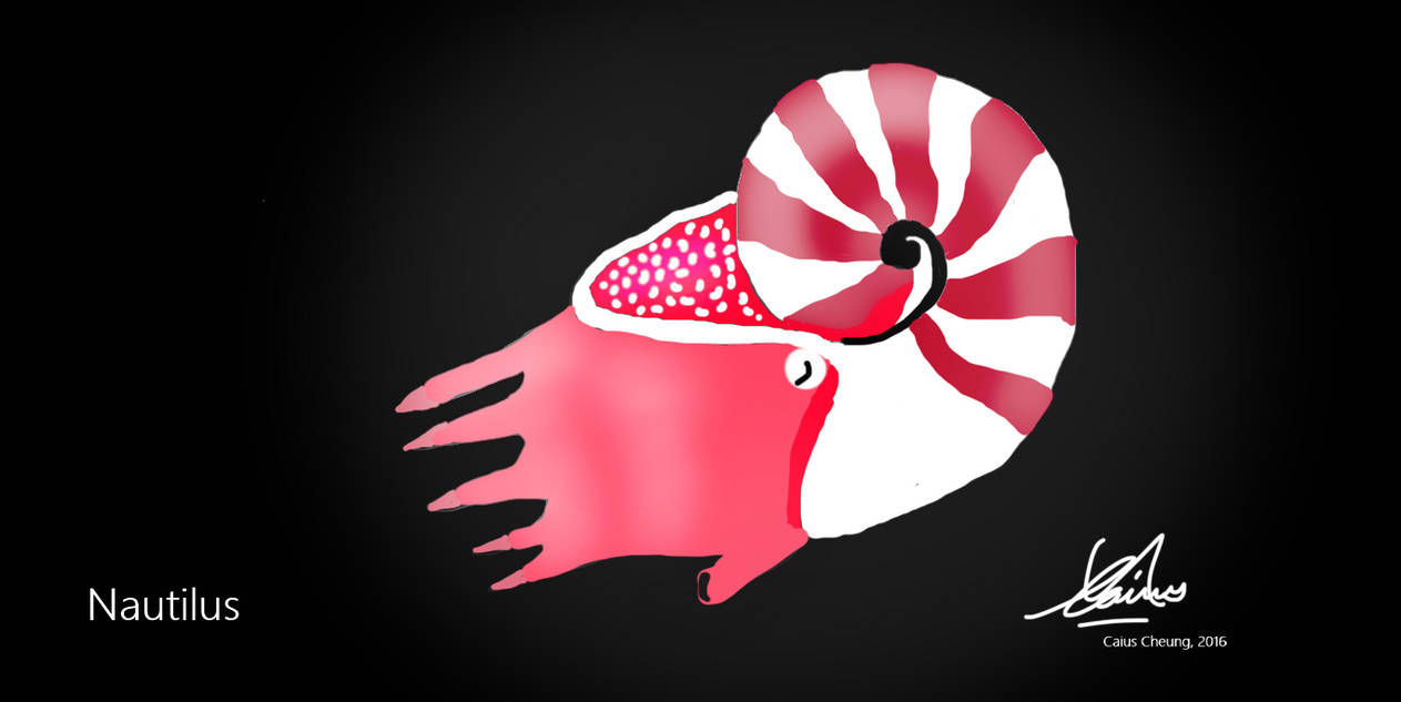 Nautilus by Caiussaurus on DeviantArt