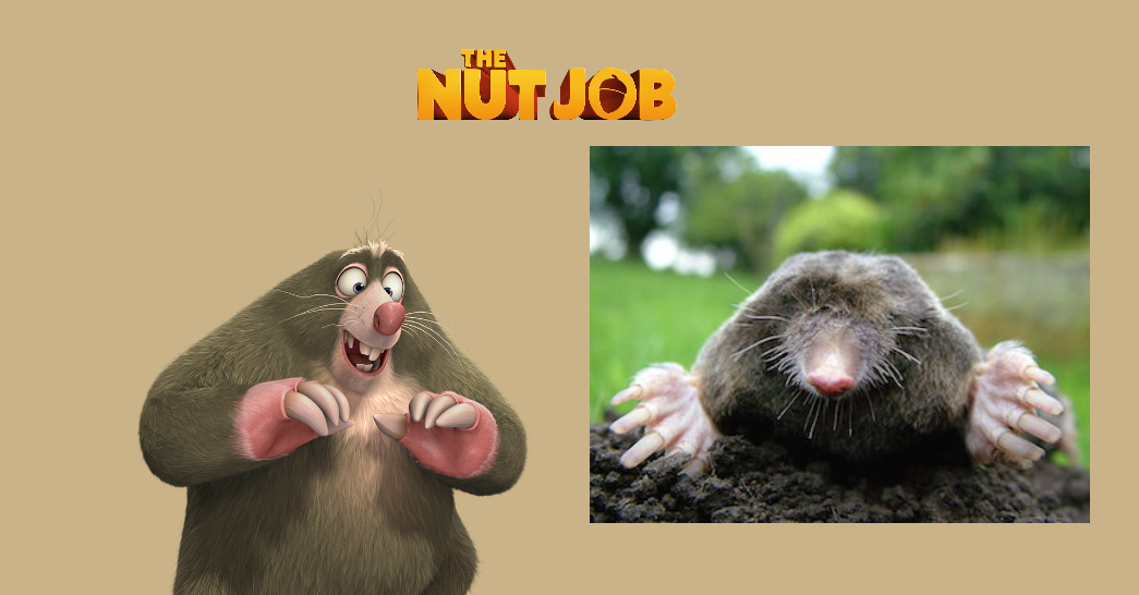 The Nut Job Mole