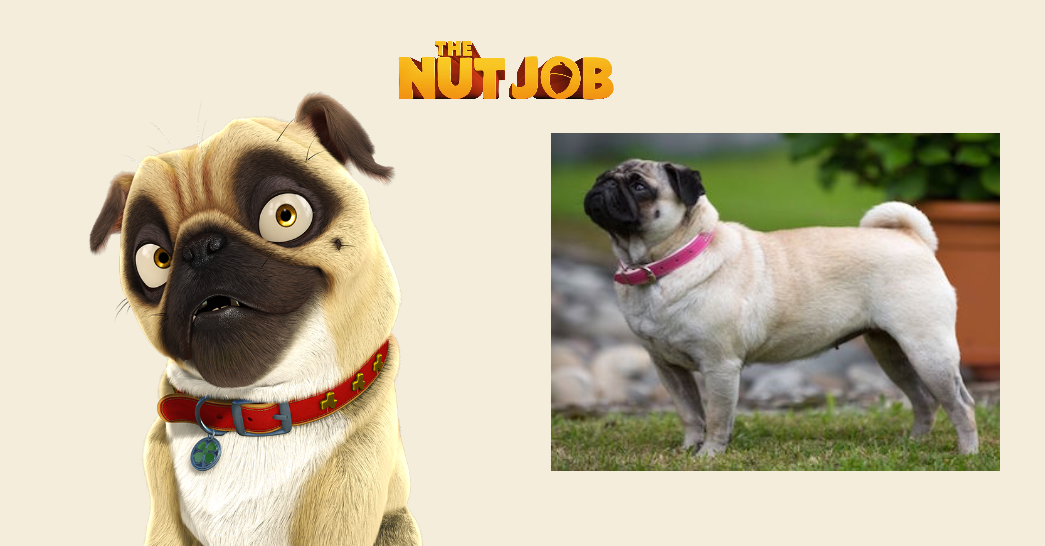 Real Life Nut Job (Precious) by the-acorn-bunch on DeviantArt