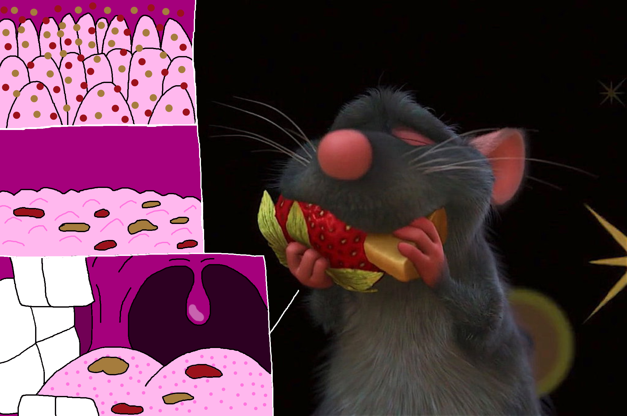 Remy's taste buds by the-acorn-bunch on DeviantArt