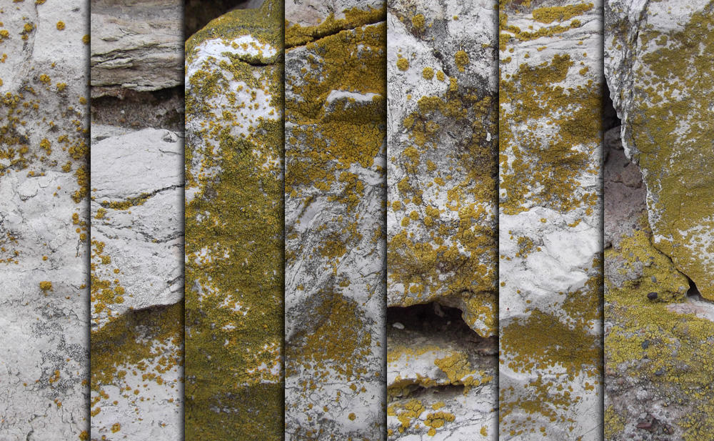 Stone Moss Texture Pack by sdwhaven on DeviantArt