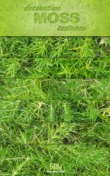 Explore the Best Compass Art | DeviantArt