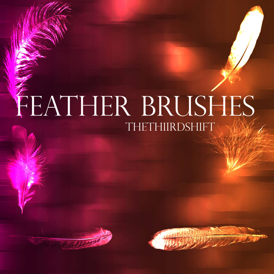 Feather Brushes by thethiirdshift on DeviantArt