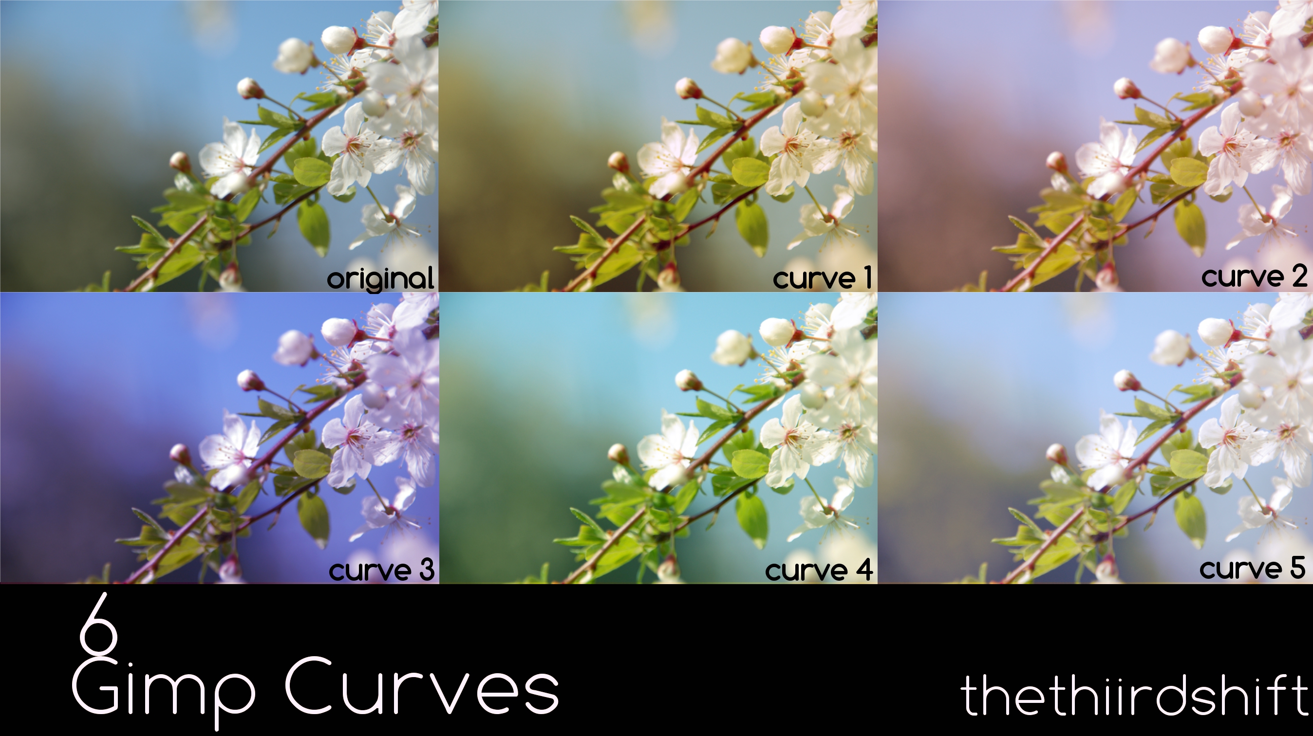 GIMP Curves - Set 1 by thethiirdshift on DeviantArt