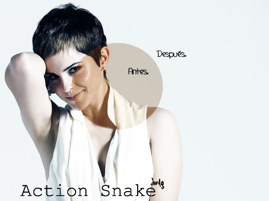 Snake action. by BethanySwag on DeviantArt
