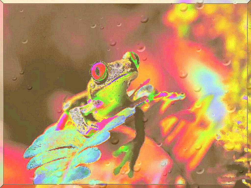 Froggy Dude by LostInspiration on DeviantArt