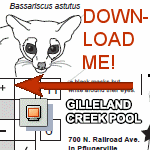 Texas Ringtail Fun Page by Talzhemir1 on DeviantArt