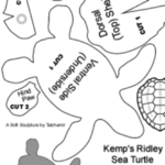 Kemps Ridley Sea Turtle by Talzhemir1 on DeviantArt