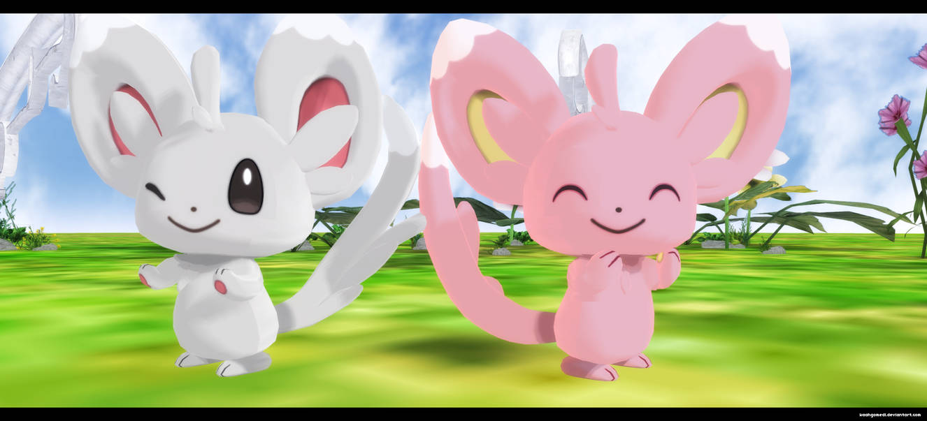 Minccino by kaahgomedl on DeviantArt