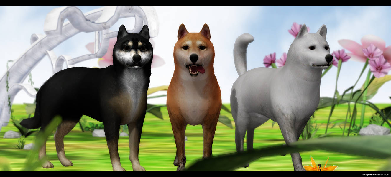 MMD Yakuza Shiba Dog by kaahgomedl on DeviantArt