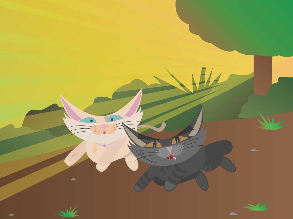 Animasi Kucing by toonaz on DeviantArt