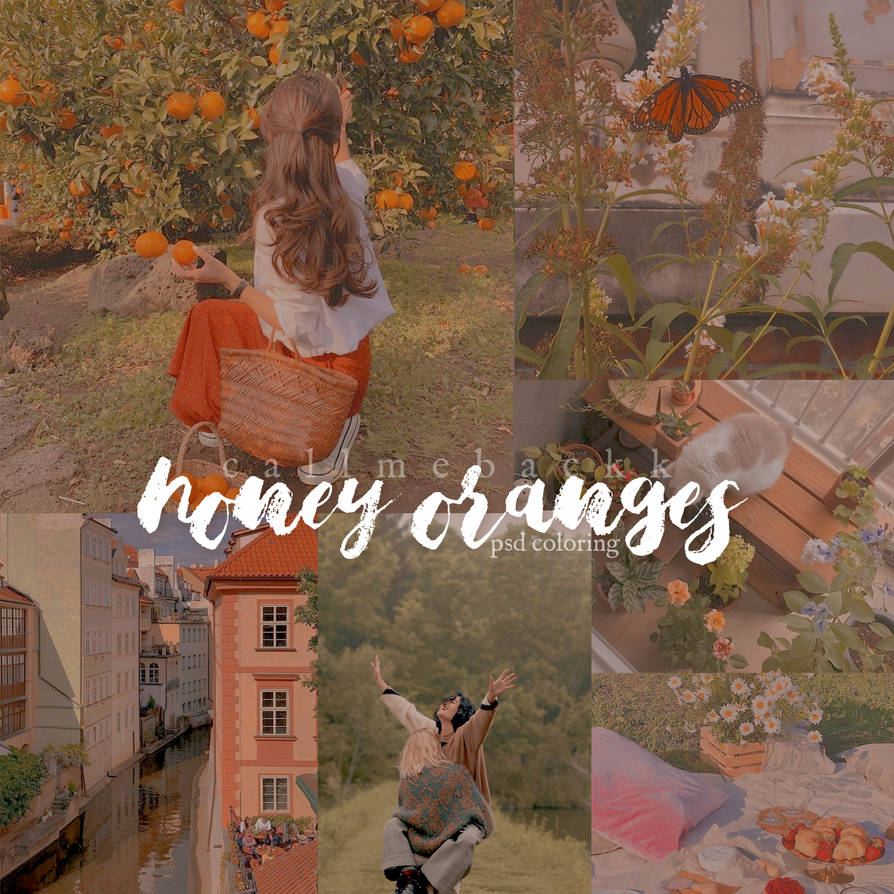 honey oranges by callmebackk on DeviantArt