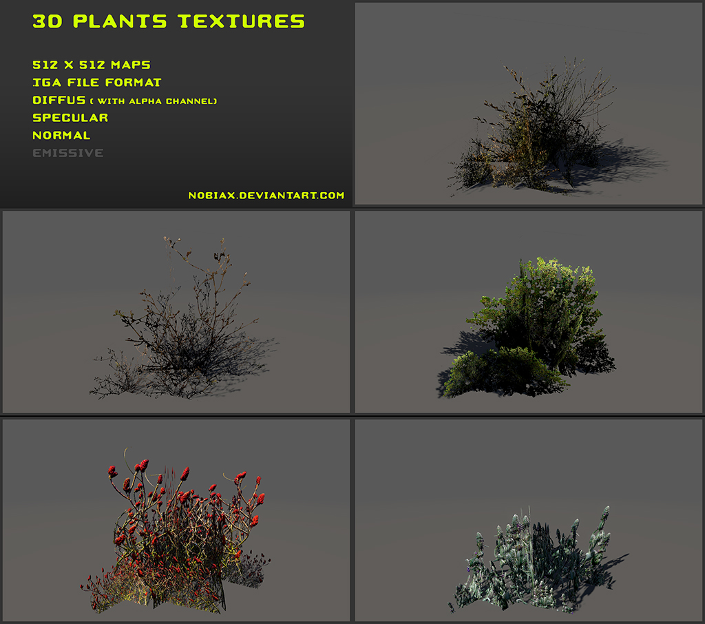 Plant Texture Alpha