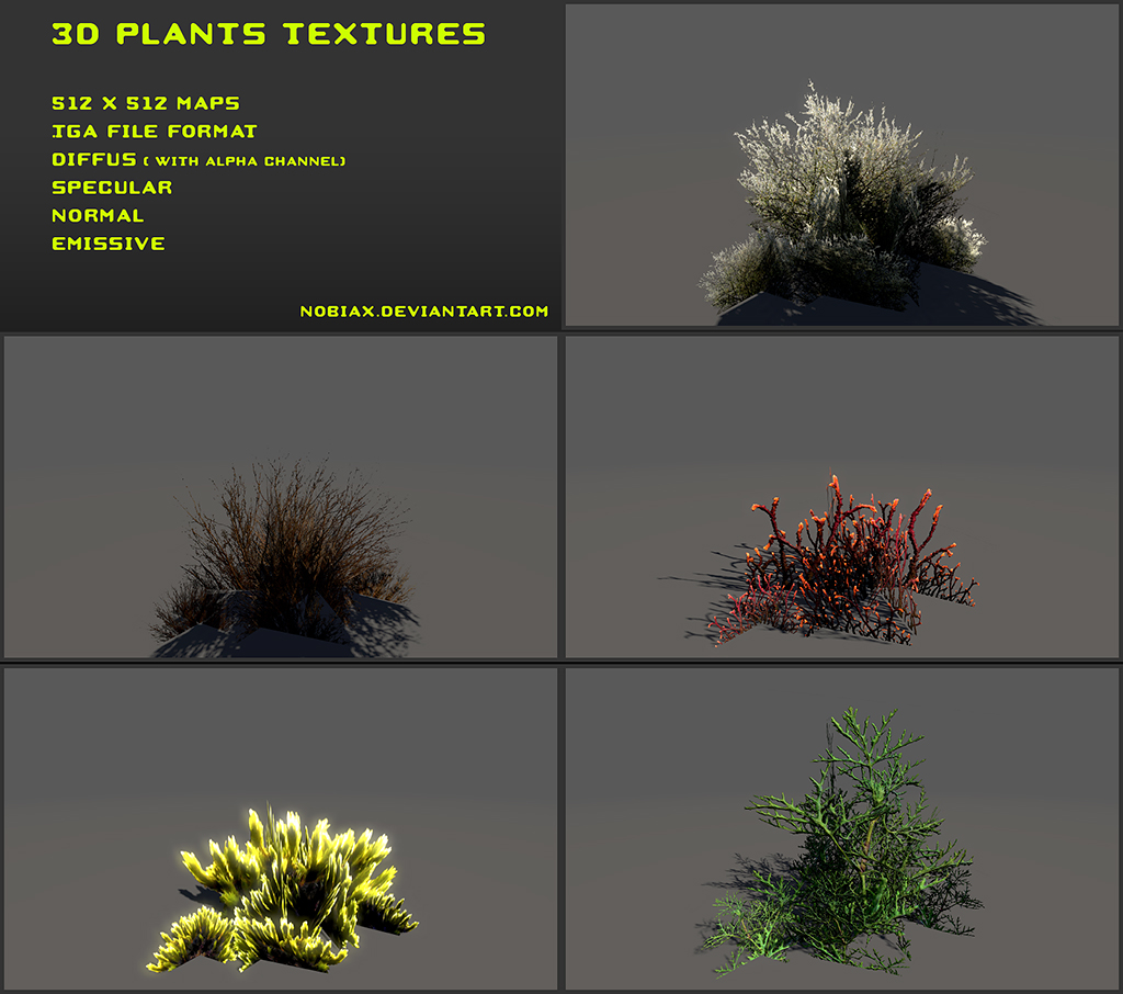 Free 3D plants textures 03 by Yughues on DeviantArt