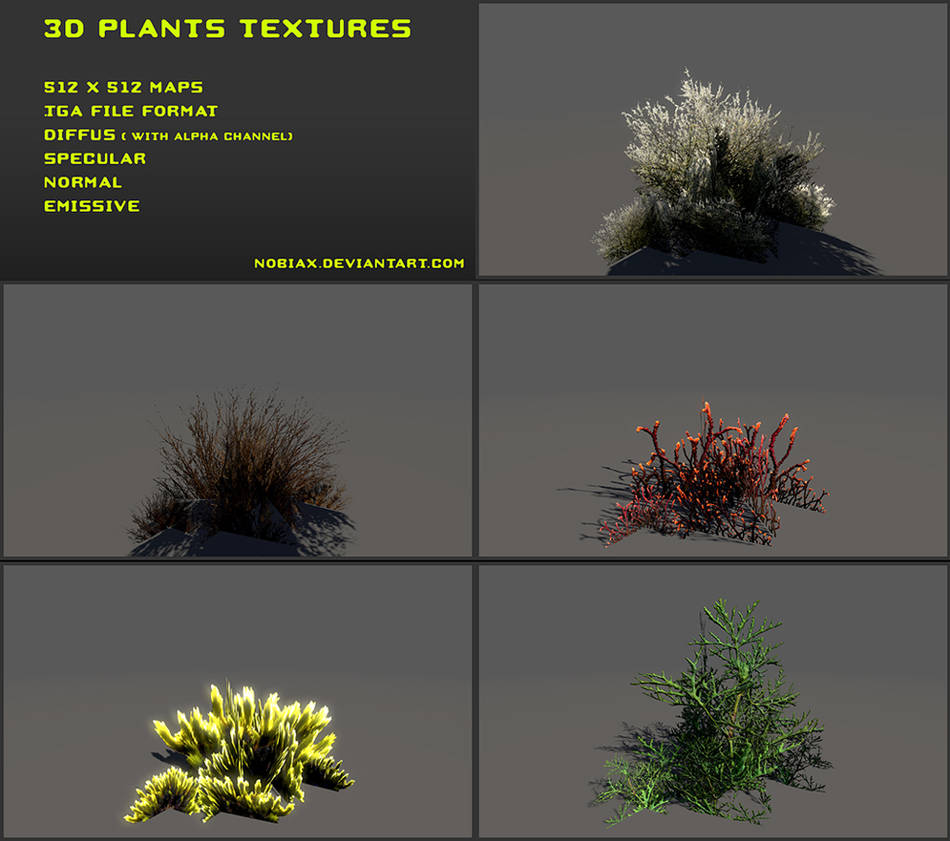 Free 3D plants textures 03 by Yughues on DeviantArt