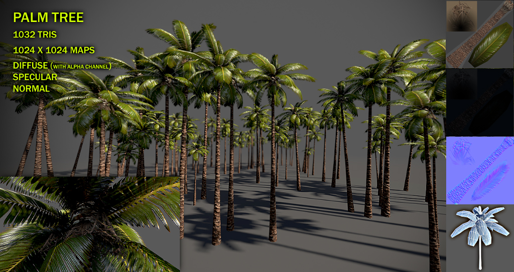 Palm tree v2 by Yughues on DeviantArt