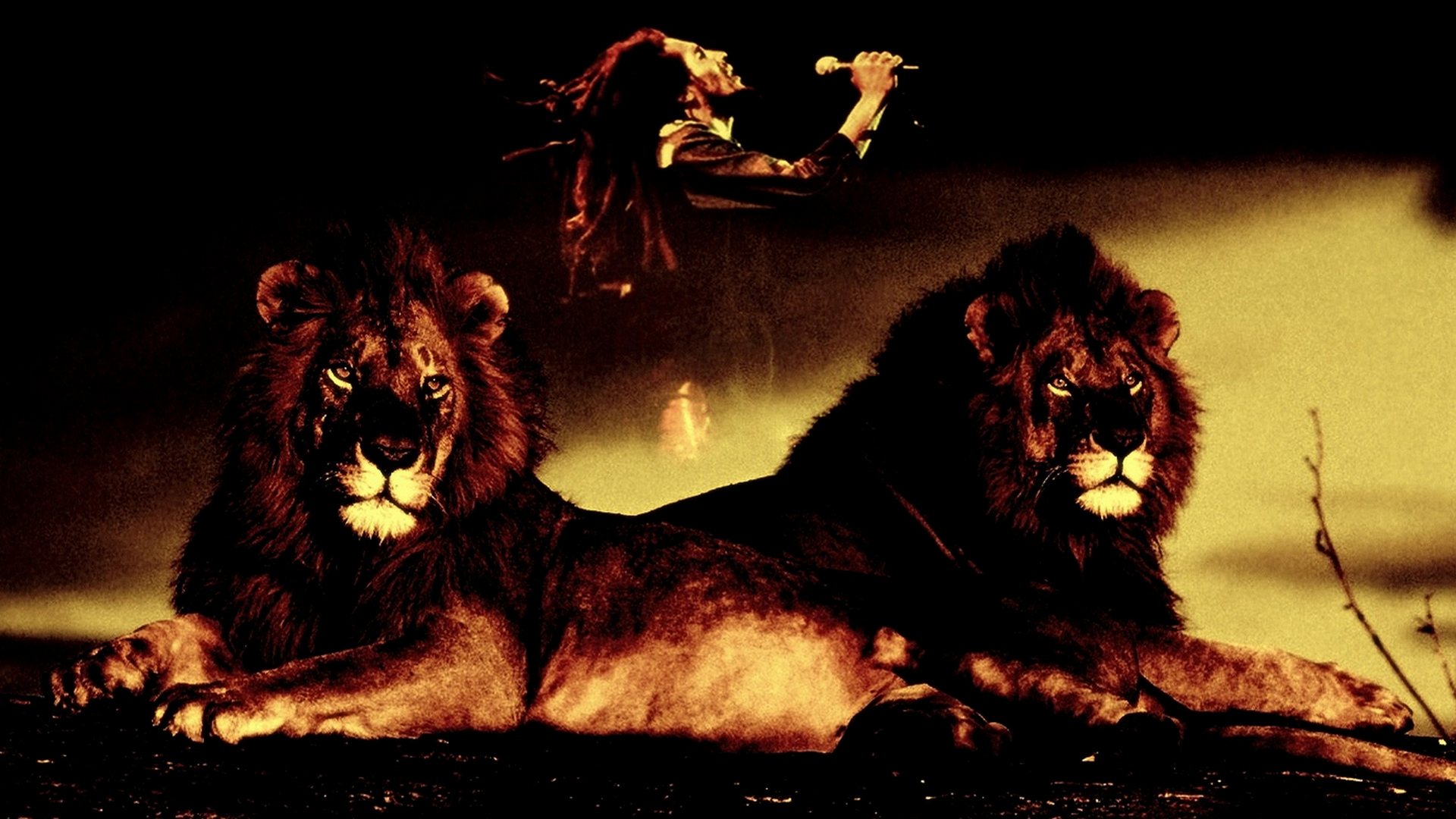 Bob Marley Lion Wallpaper