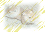 gerbil by goddesstree on DeviantArt
