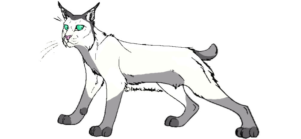Gale Official Ref by Pupper-supreme on DeviantArt