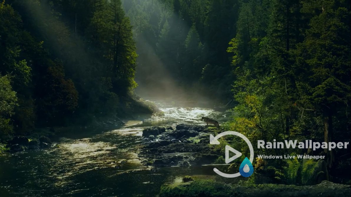 Beautiful Forest HD 2 by Jimking on DeviantArt