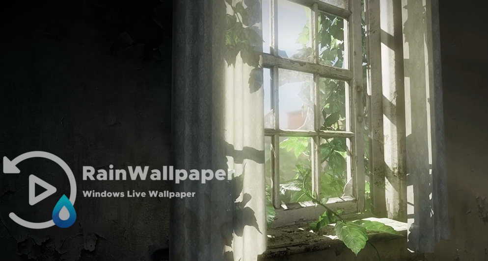 Last of Us Window Pane by Jimking on DeviantArt