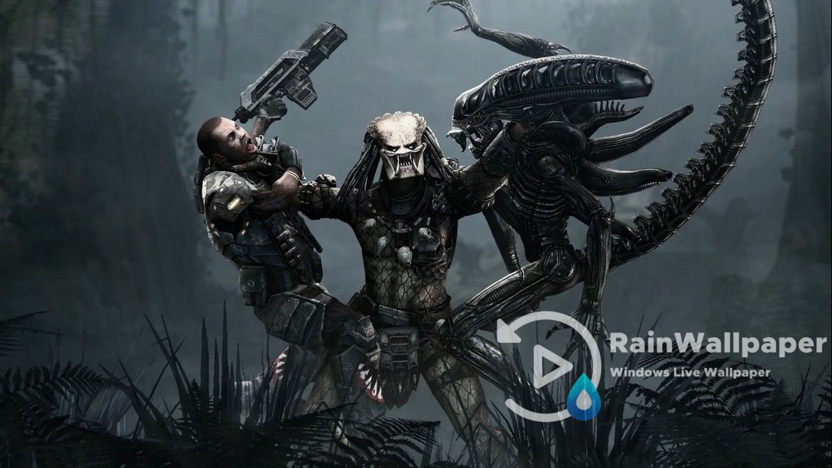 Alien vs Predator by Jimking on DeviantArt