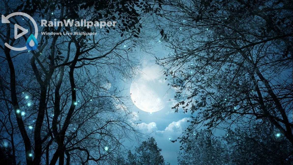 Night Moon by Jimking on DeviantArt