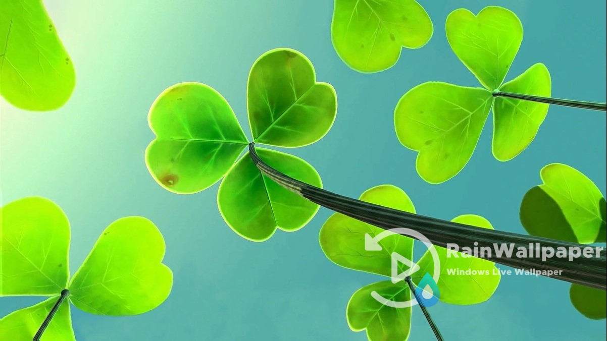 Shamrock by Jimking on DeviantArt