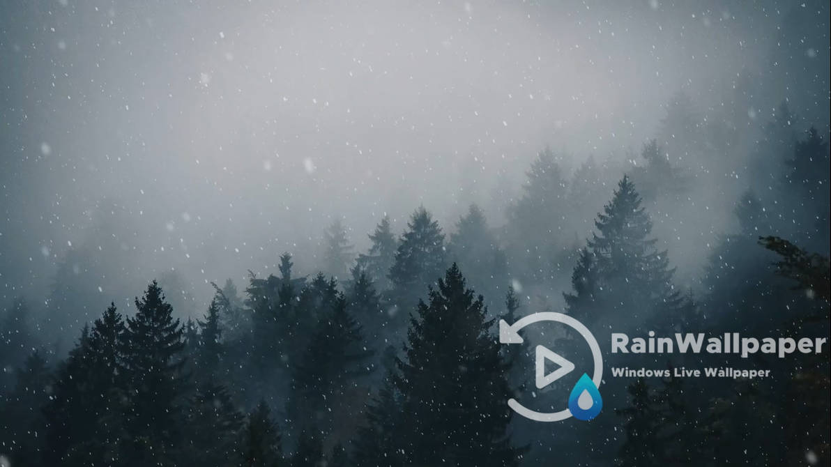 Forest Snow by Jimking on DeviantArt