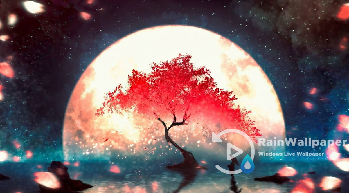Sakura Tree Moon by Jimking on DeviantArt