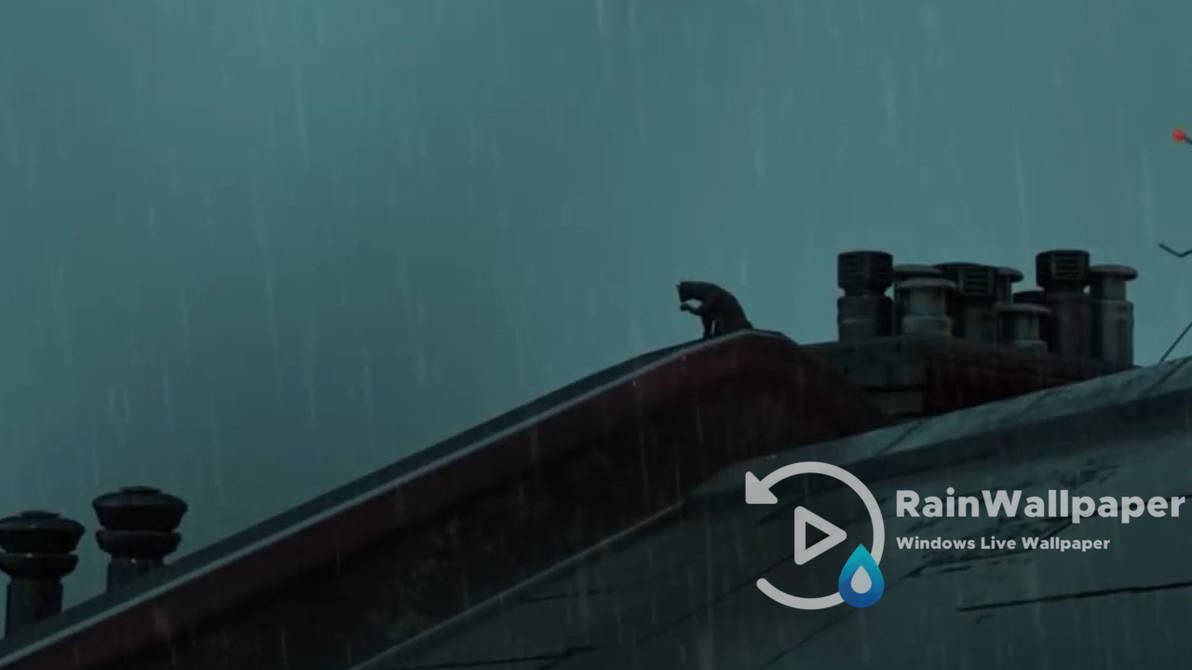 Rain On Rooftop by Jimking on DeviantArt