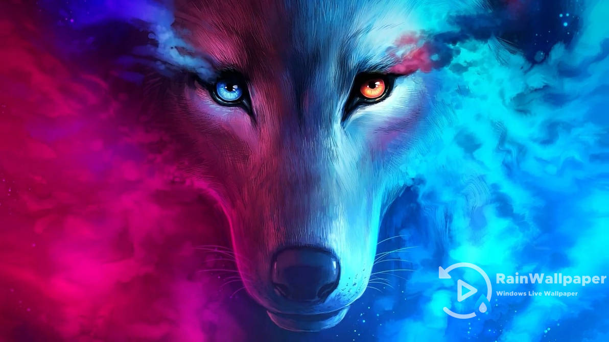Wolf Eyes by Jimking on DeviantArt