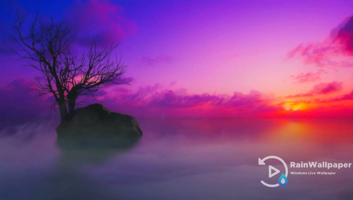 Sunset and beautiful colors by Jimking on DeviantArt